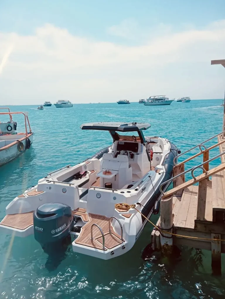 Speedboat Safety in hurghada Red Sea