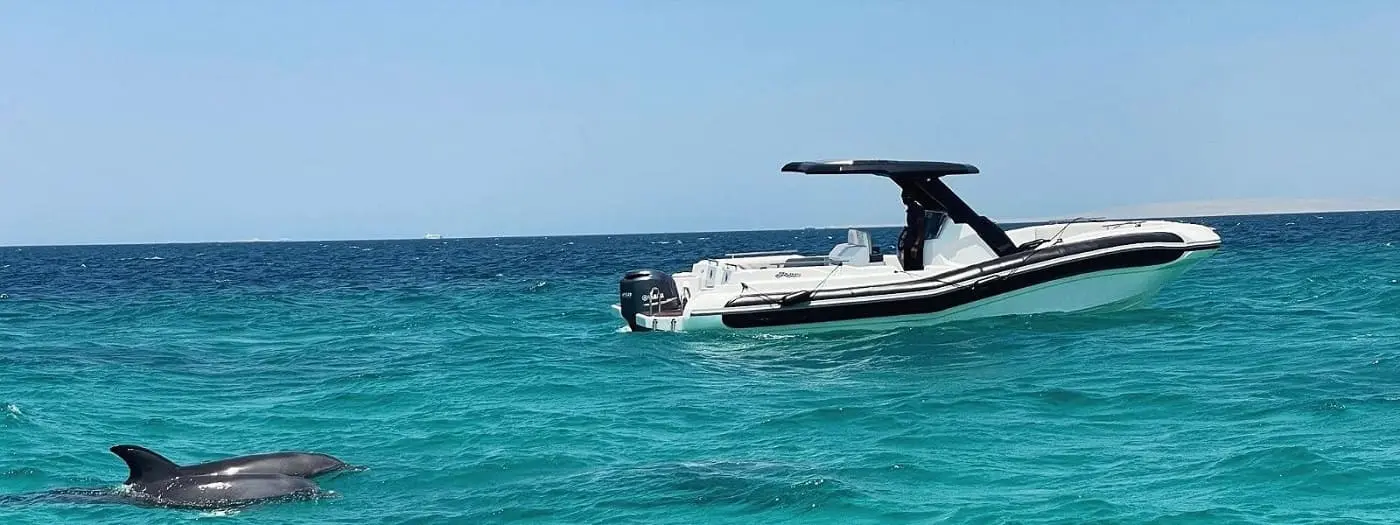 speed boat rental hurghada for island and dolphin